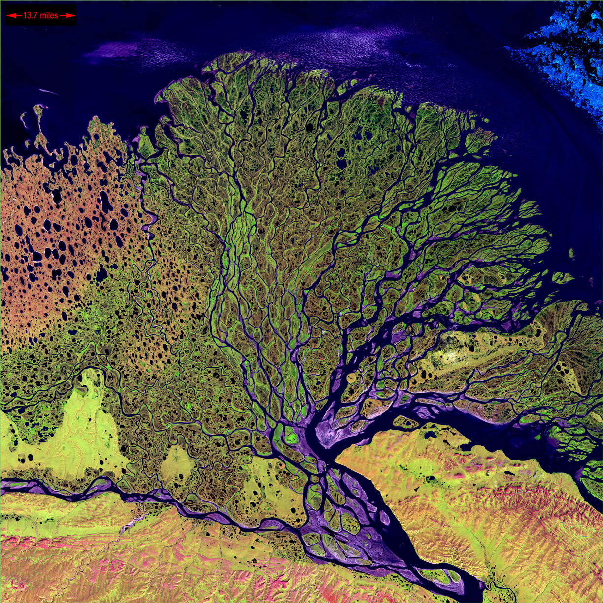 Chronicles of Insanity: Sentient Earth