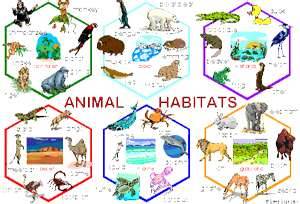 EDU 645 Portfolio: Animals Around the World and Their Habitats