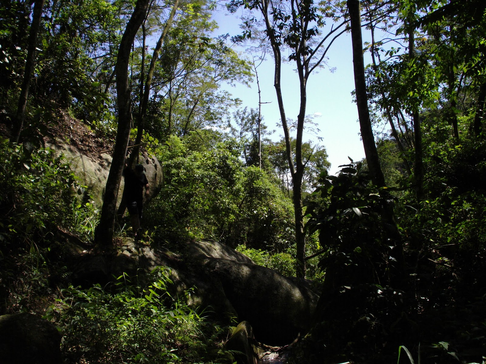 Trilhas e Pedais : Caminho do Quitite (cachoeiras perdidas de Jacarepaguá)