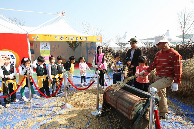 2015 Icheon Rice Festival | GGTour (Gyeonggi Tourism)