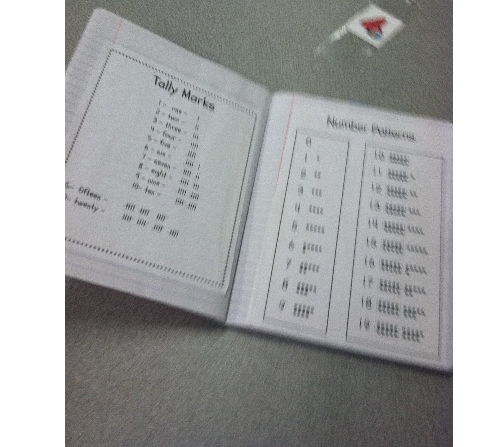 First Grade Fabulous Fish: Math Block with Math Journal and Math Tubs