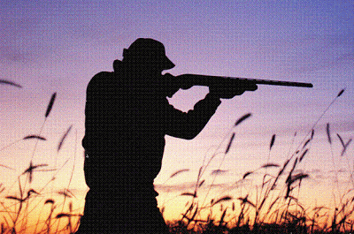 Aspectos Del Medioambiente: La caza ¿una actividad sostenible y necesaria?