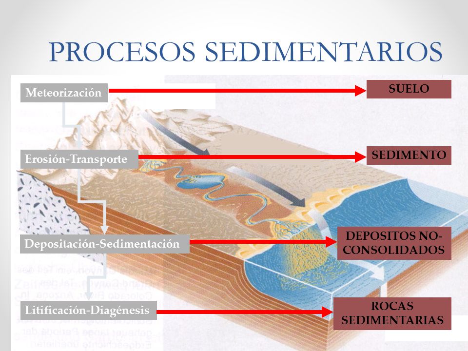 Darwiniano Curso 2015/16: 3ESO - El ciclo geológico