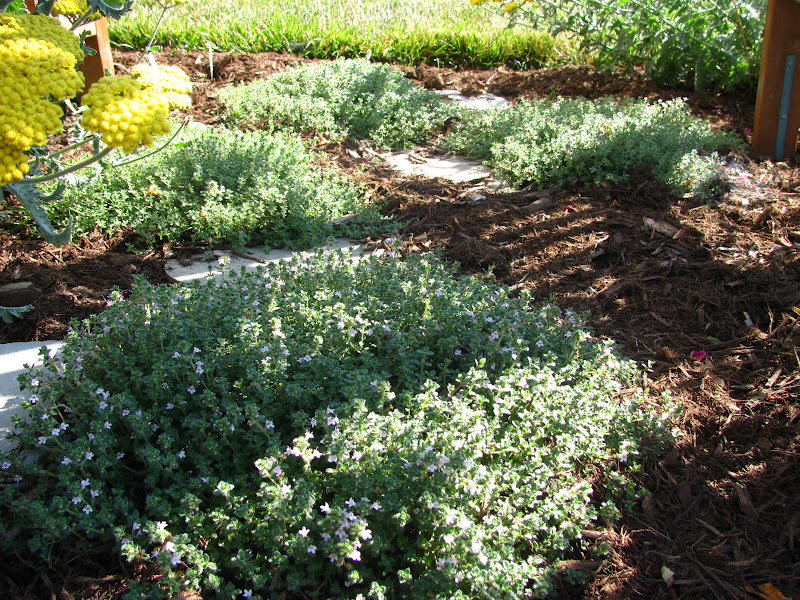 Life In Robin's Nest: The Heat Wave