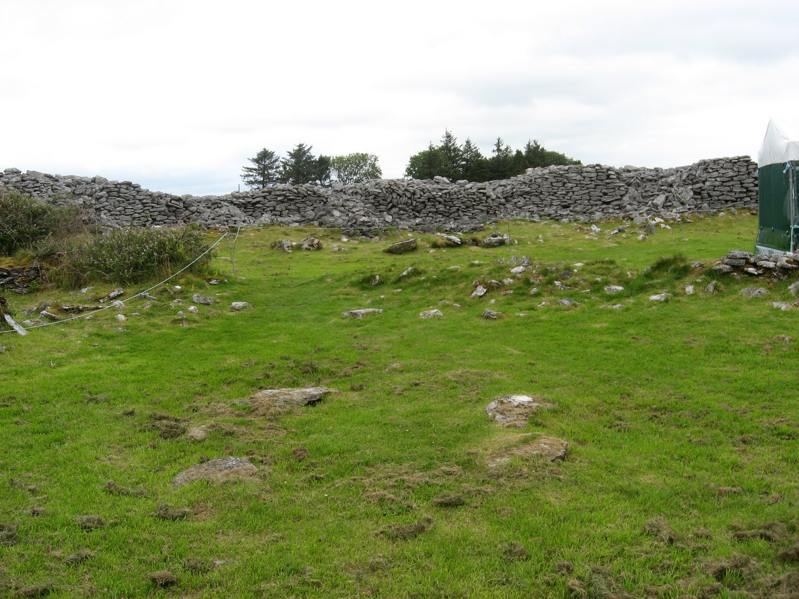 The Irish Adventure 2011: Ringforts and a wedge tomb