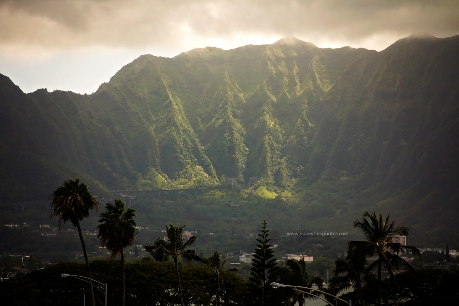 Such is the Life of a Military Wife: Give Aloha, Live Aloha Part I