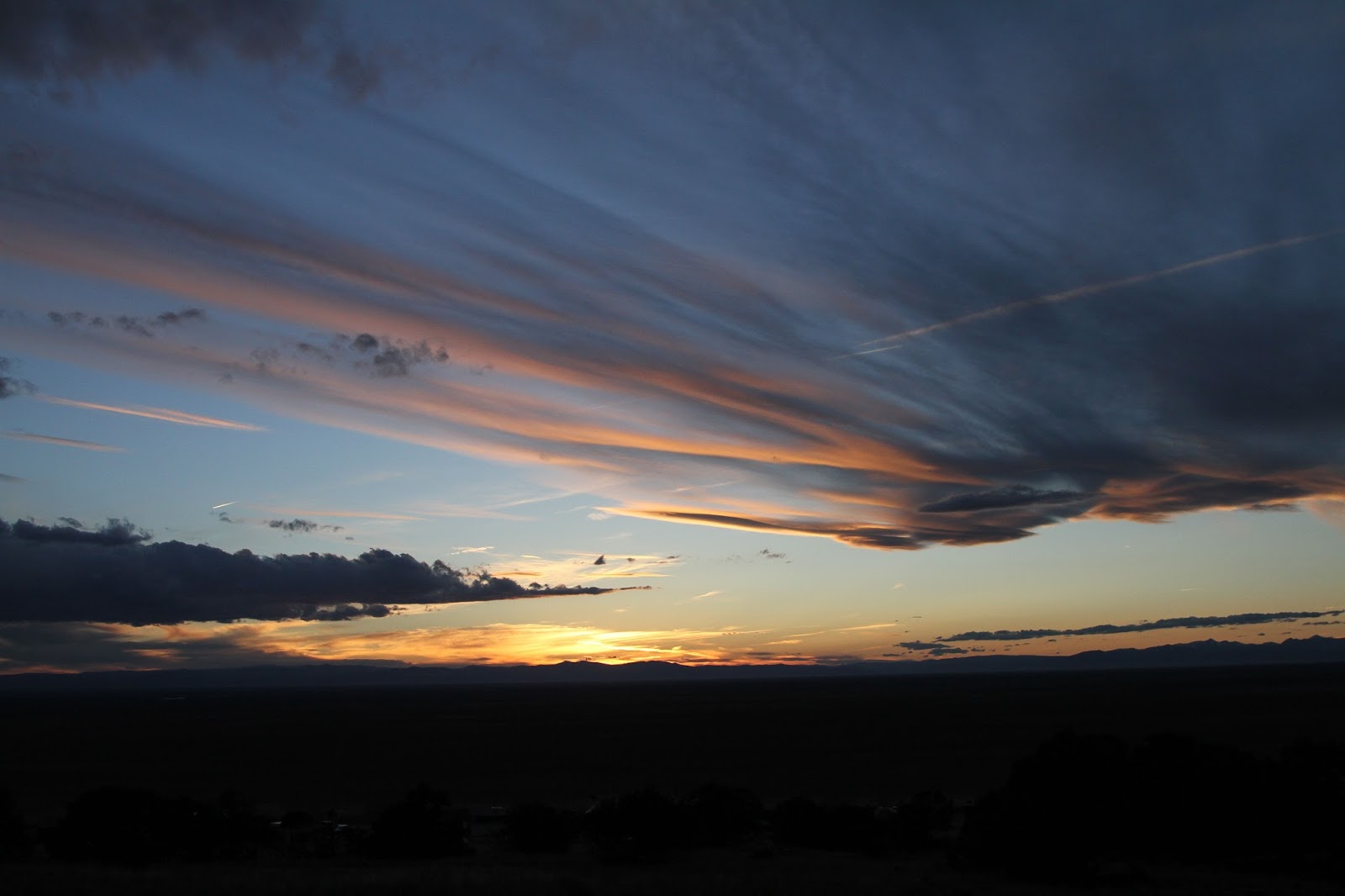 Running From Moose: Great Sand Dunes National Park