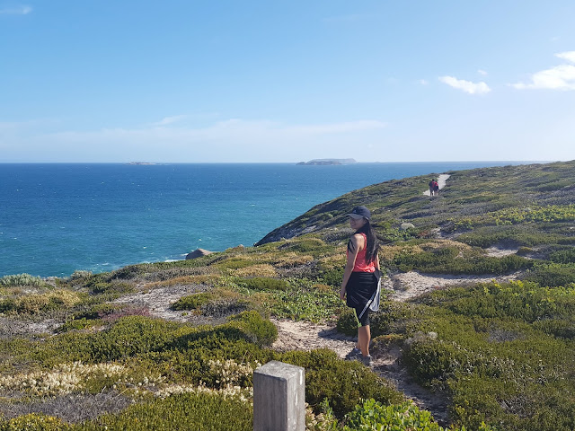 Beginner Camping at Innes National Park - Jeannie in a Bottle