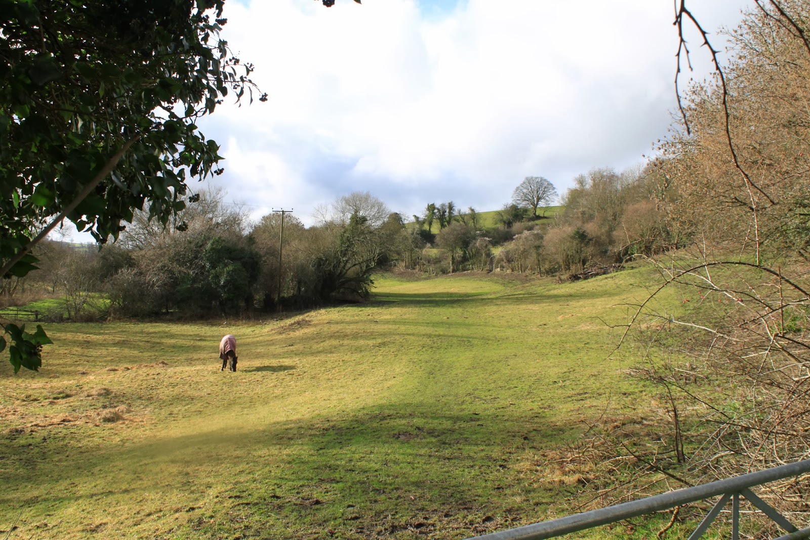 Captain Ahab's Watery Tales: Camerton to Dunkerton - Somerset Coal Canal