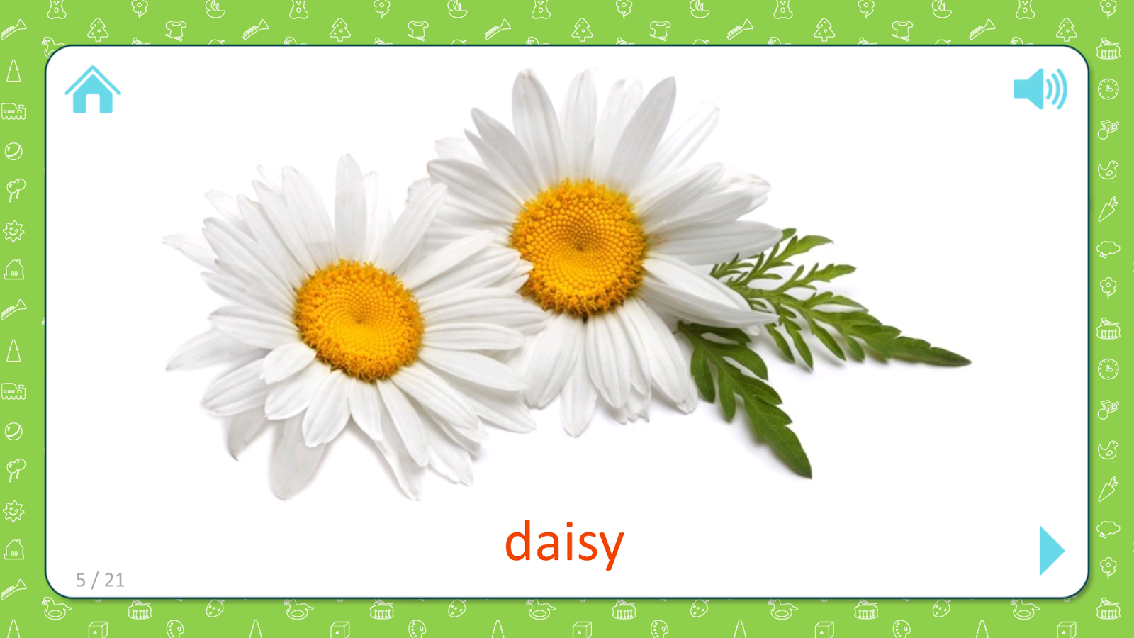 Flashcards for Kids: Daisy - Flowers - Flashcards for Kids