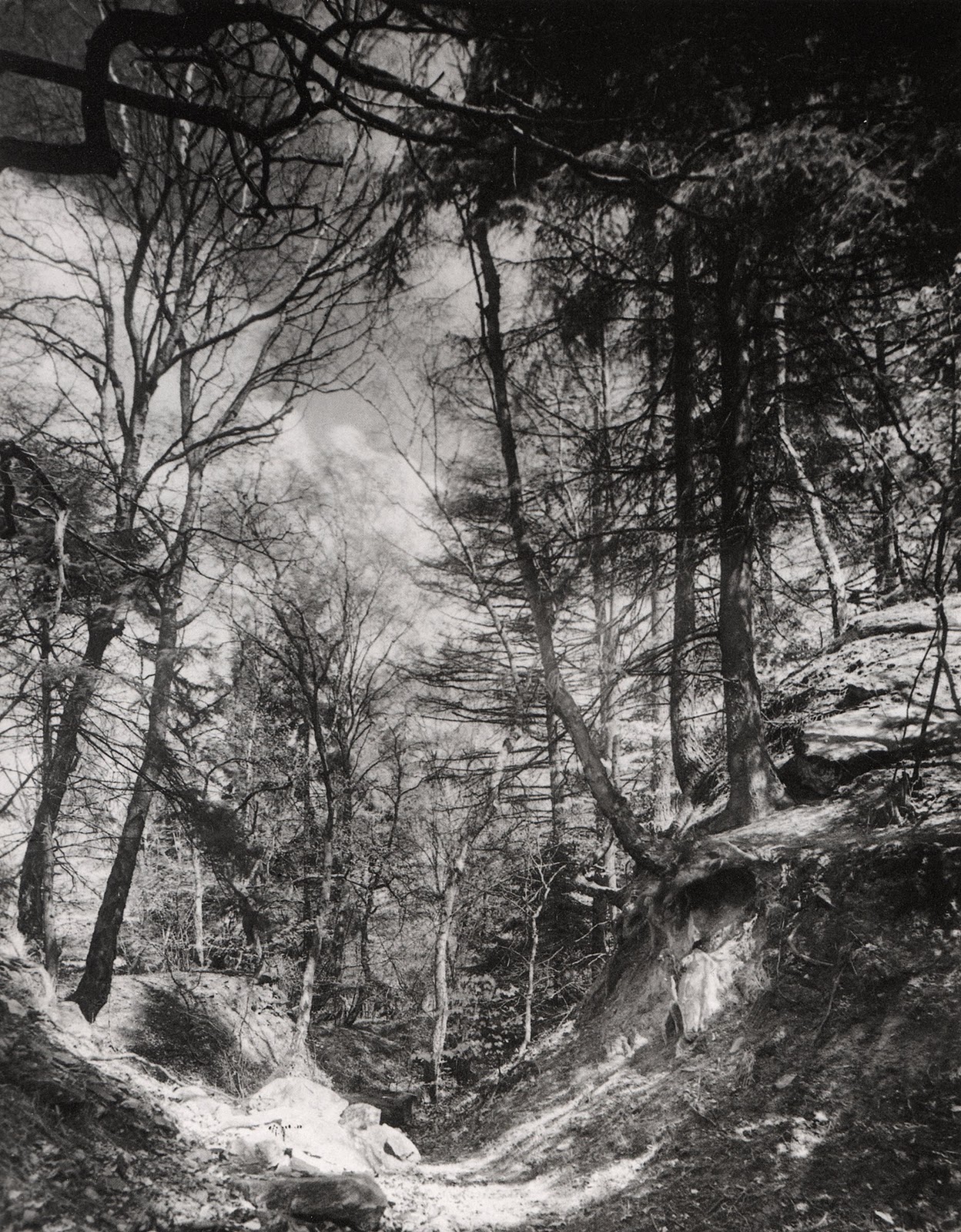 Anthony Luke's not-just-another-photoblog Blog: Photographer Profile ...