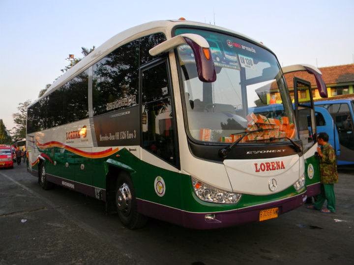 Lorena - Bus Indonesia