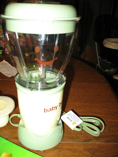 Review: Magic Bullet Baby Bullet - Central Minnesota Mom