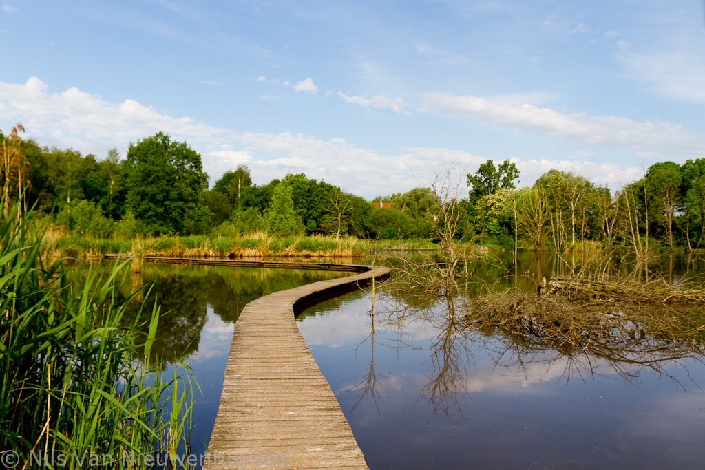 Foto Positief!: Wandeling in Het Vinne