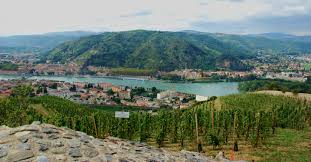 dwightthewinedoctor: MARIUS RED-$12, A VERSATILE RED THAT GOES WITH ANY ...