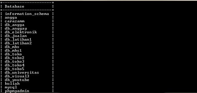 Cara Membuat Database di CMD - Cara Zamm