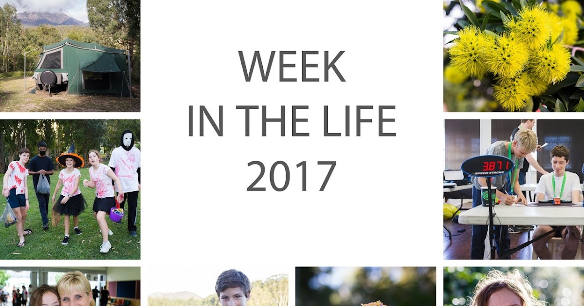 Our Simple and Meaningful Life: Week in the Life 2018