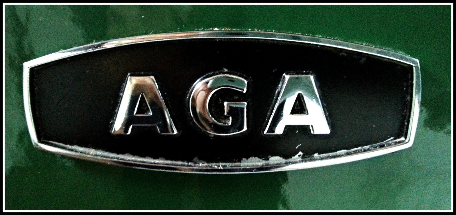 Neesie Natters: Introducing my new best friend...The Aga