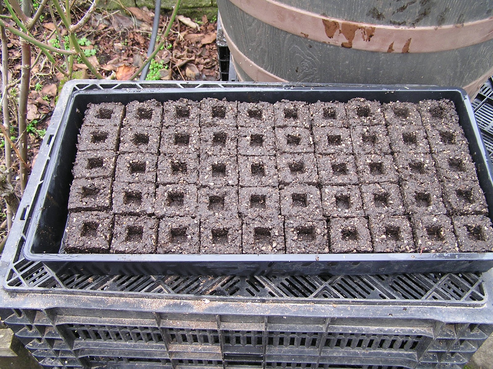 Bare Mtn Farm: Using Soil Blocks on the Farm