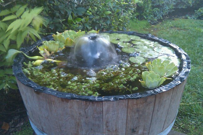 World Of Technology: 5 Years of barrel pond (63 Pics)