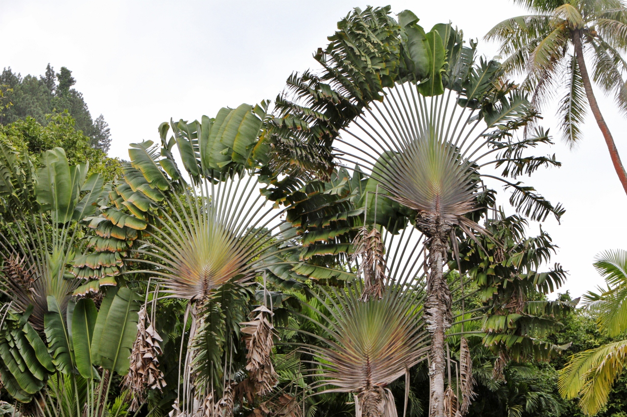 Au Coeur du Monde: Tahiti, première île du voyage en Polynésie