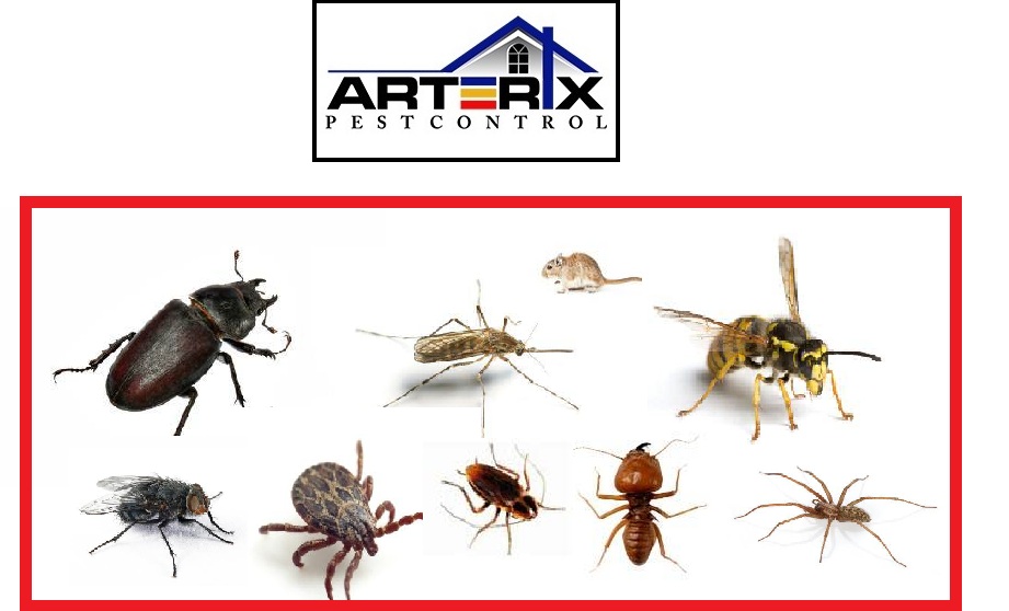 Arterix Pest Control