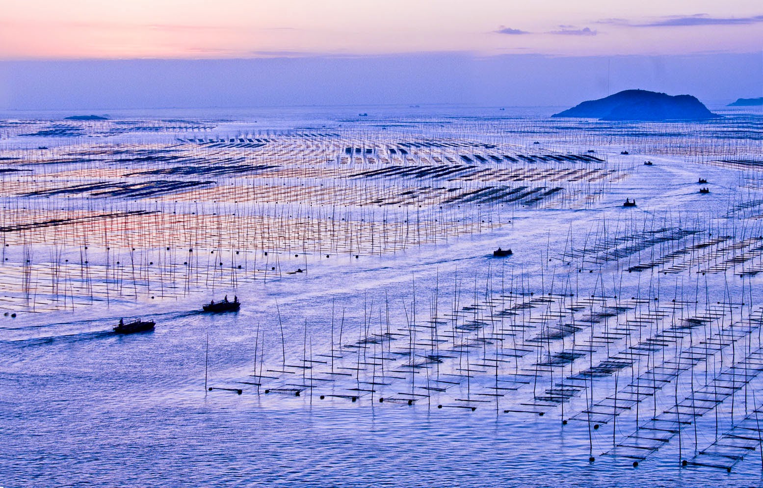 Information Dose: Xiapu Mudflat - China