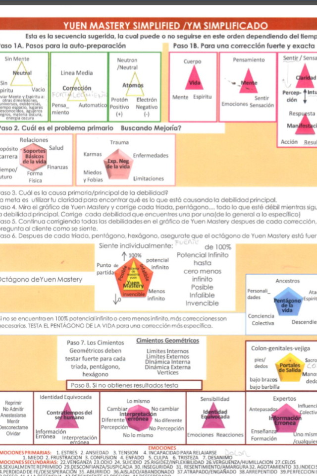 Lourdes Lapuente Cubells: TERAPIA