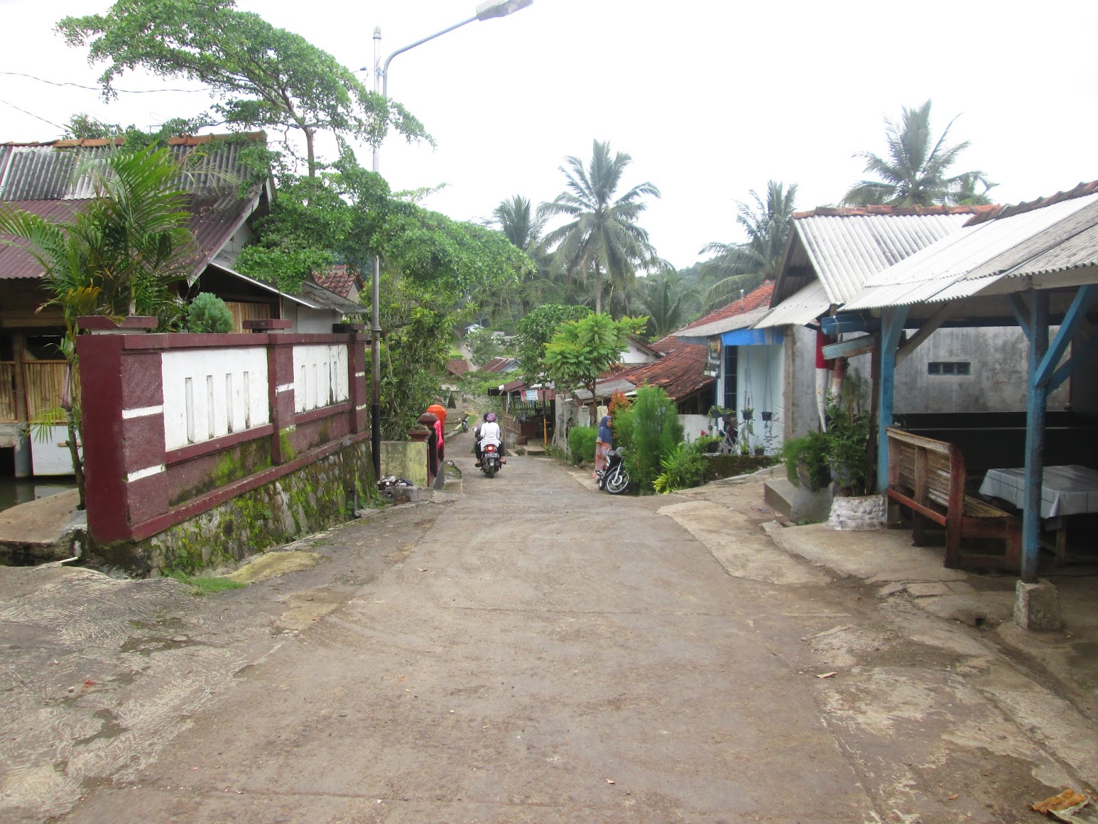 Kampung Sukasari; sekilas perkembangan dan potensinya - Knowledge ...