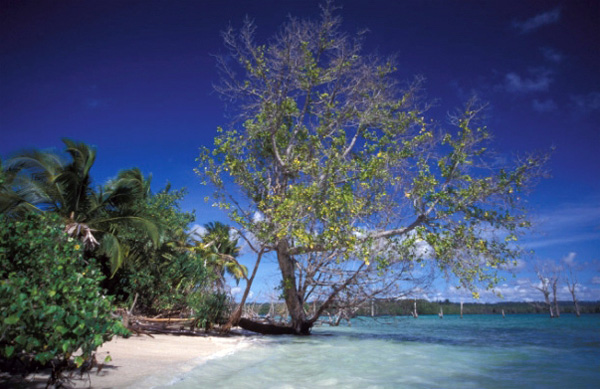 PULAU SIBERUT - Wisata Indonesia