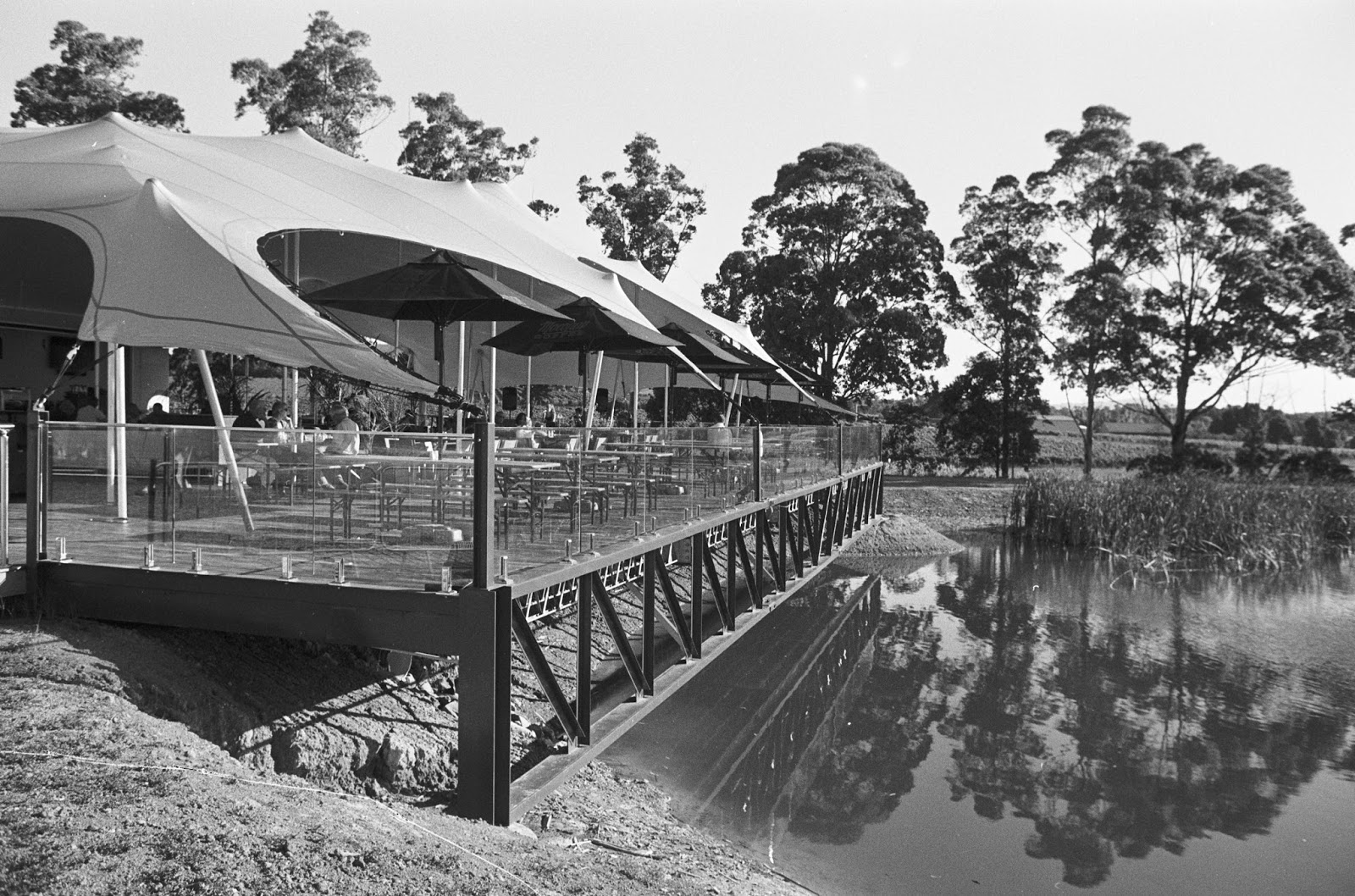 Shaky Photographer: My Best Caffenol C-L Recipe - so far!