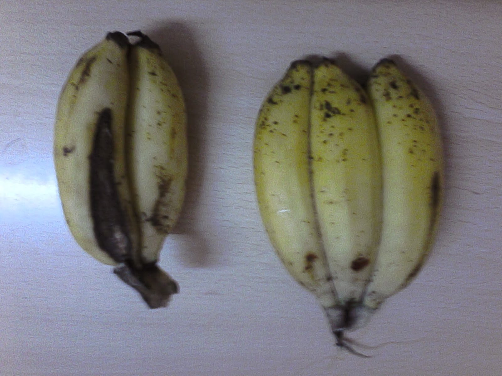 at February 10, 2014