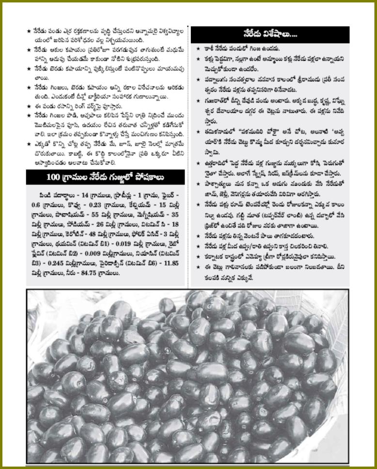 CHODAVARAMNET: ENNO SUGUNALA NEREDU PANDU - BRIEF ARTICLE ABOUT HEALTH ...