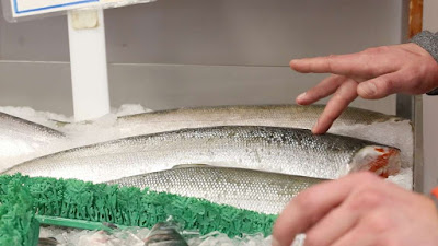 Indonesia Milkfish Factory, How to Fillet Milkfish, Fresh Milkfish ...