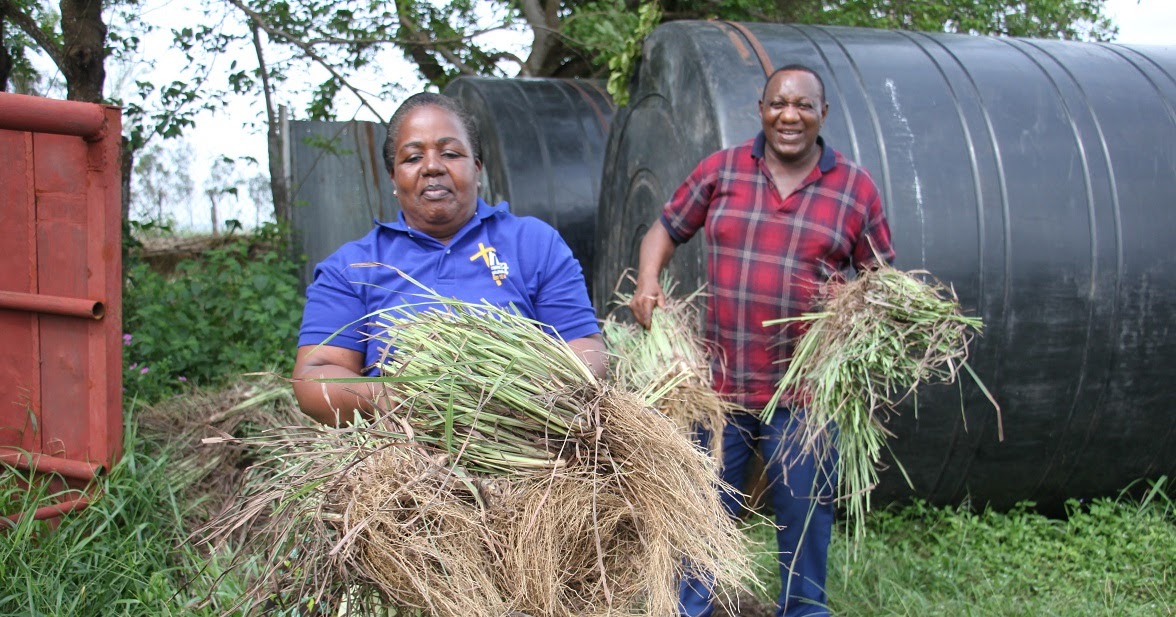 OFISI NZIMA YA MKIKITA WAHAMIA SHAMBANI VIKINDU KUPANDA MCHAICHAI
