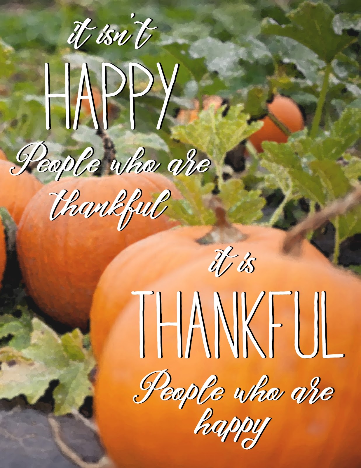 Thankful Freebies and Scripty Fonts!