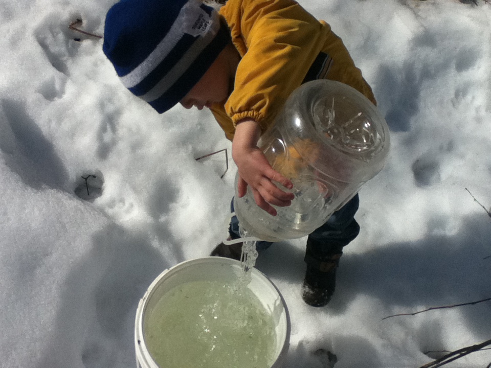 MapleSeeds Home: Adventures in Making Maple Syrup! Part 1