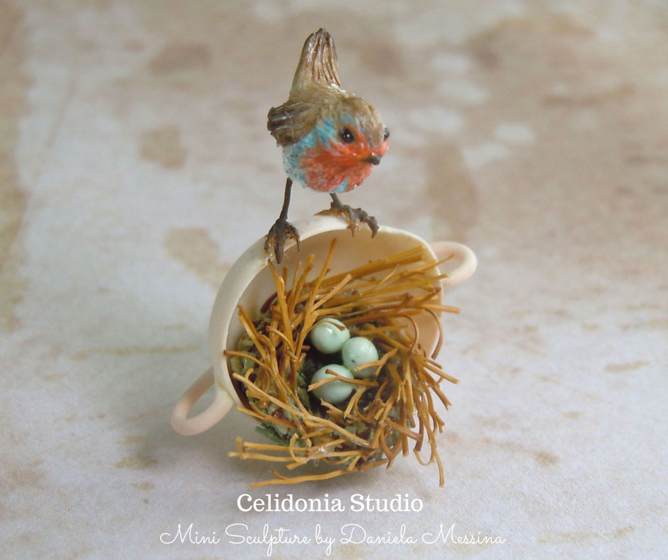Celidonia Studio en