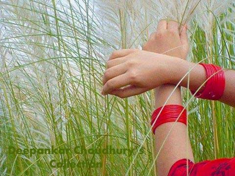 Anondo Chhobi: Kash bon.jpg