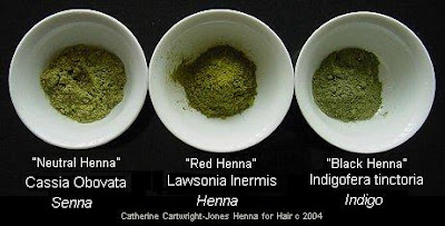 Types of Henna - Henna Design