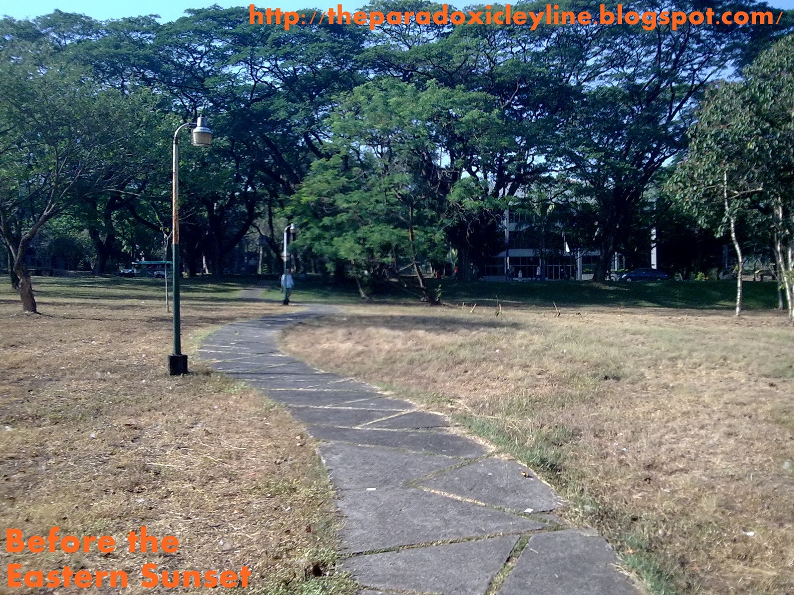 Photos Around UP Diliman |Filipino Sojourner
