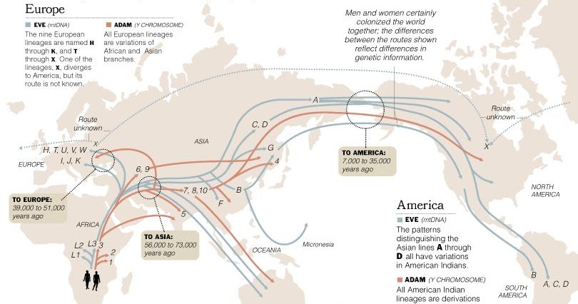 Maori History and Culture