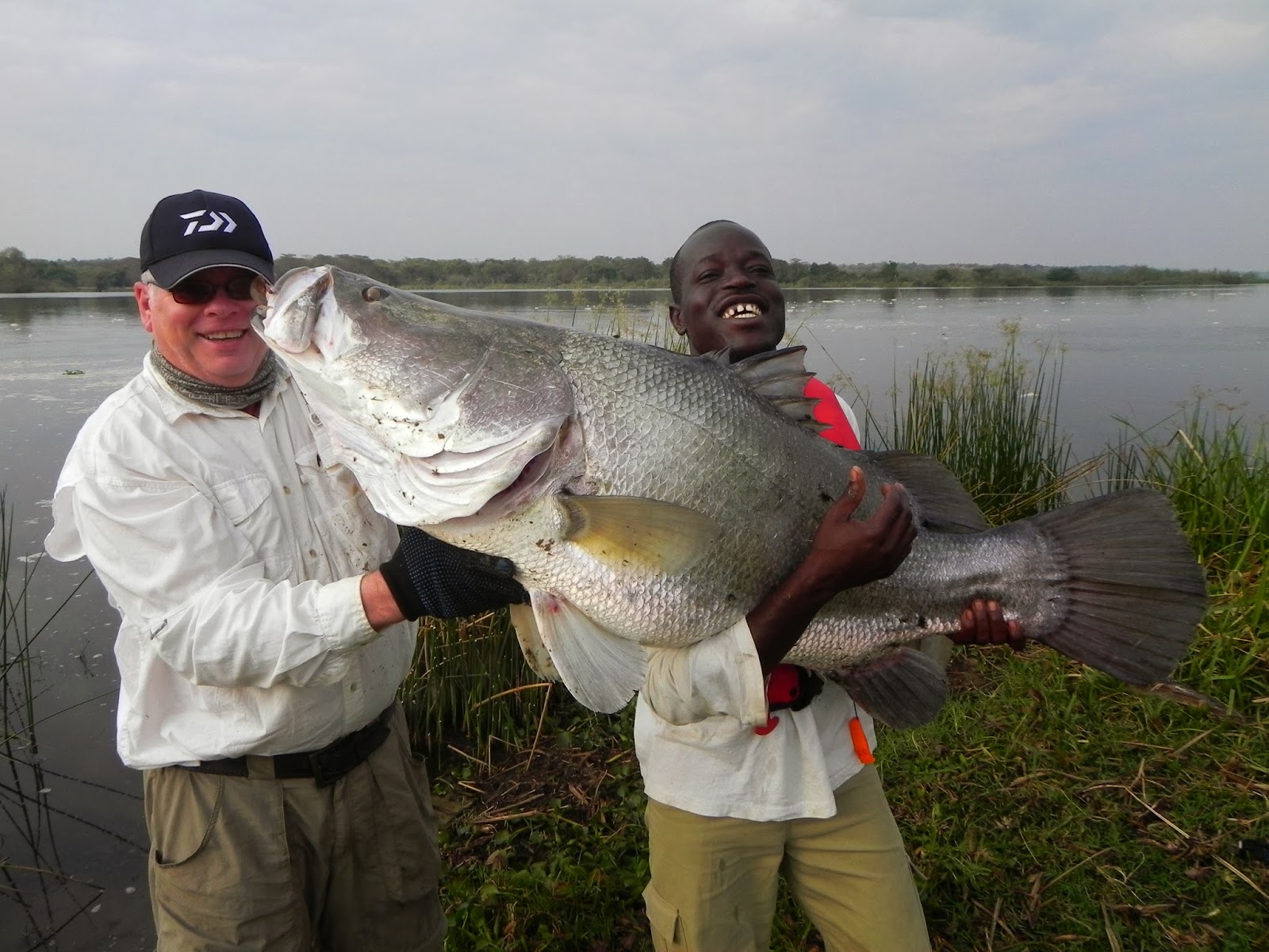 THE FISHING NEWS: Nile Perch at Murchison Falls in Uganda. Africa