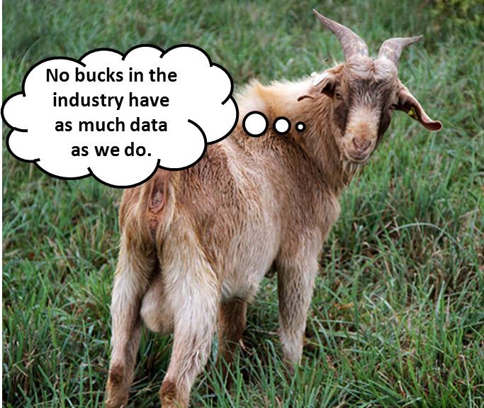 Western Maryland Pasture-Based Meat Goat Performance Test: Survey about ...