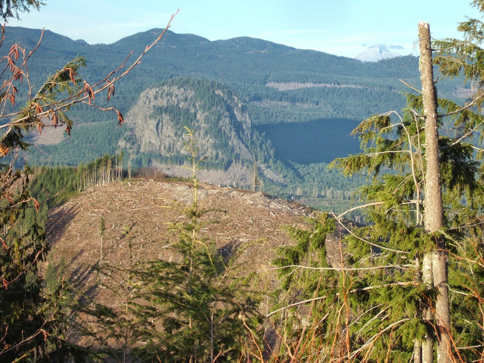 Reading the Washington Landscape: Bald Mountain - A Metamorphic Knocker ...