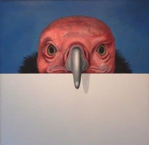 COLOR for EVERYONE: Over and Above Portraits