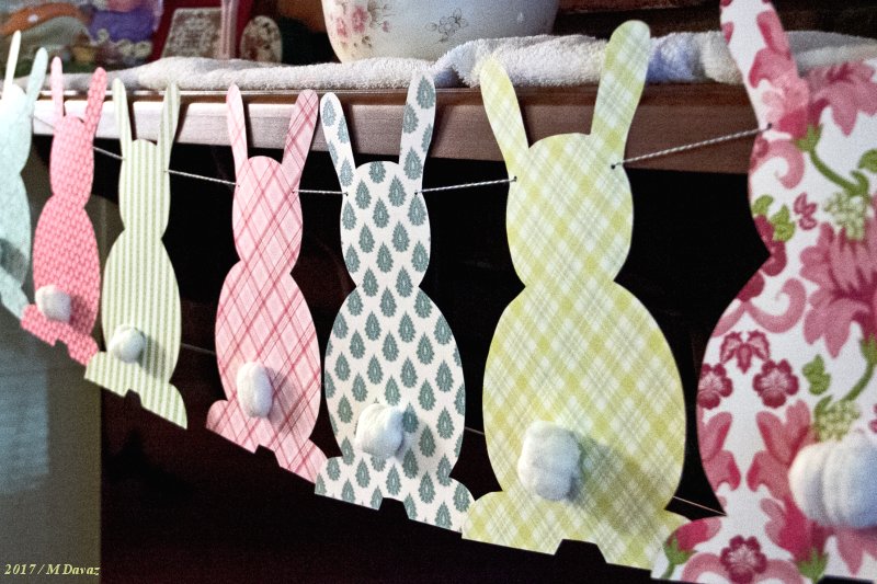 Studio Window: Bunny Banner