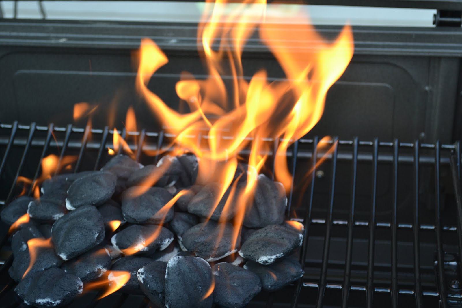 Heart of the Cowboy West