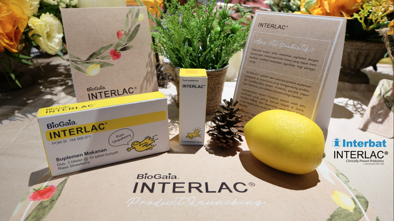 Dear Mama, Sudahkah Memperhatikan Kesehatan Saluran Cerna Anak-Anak ...