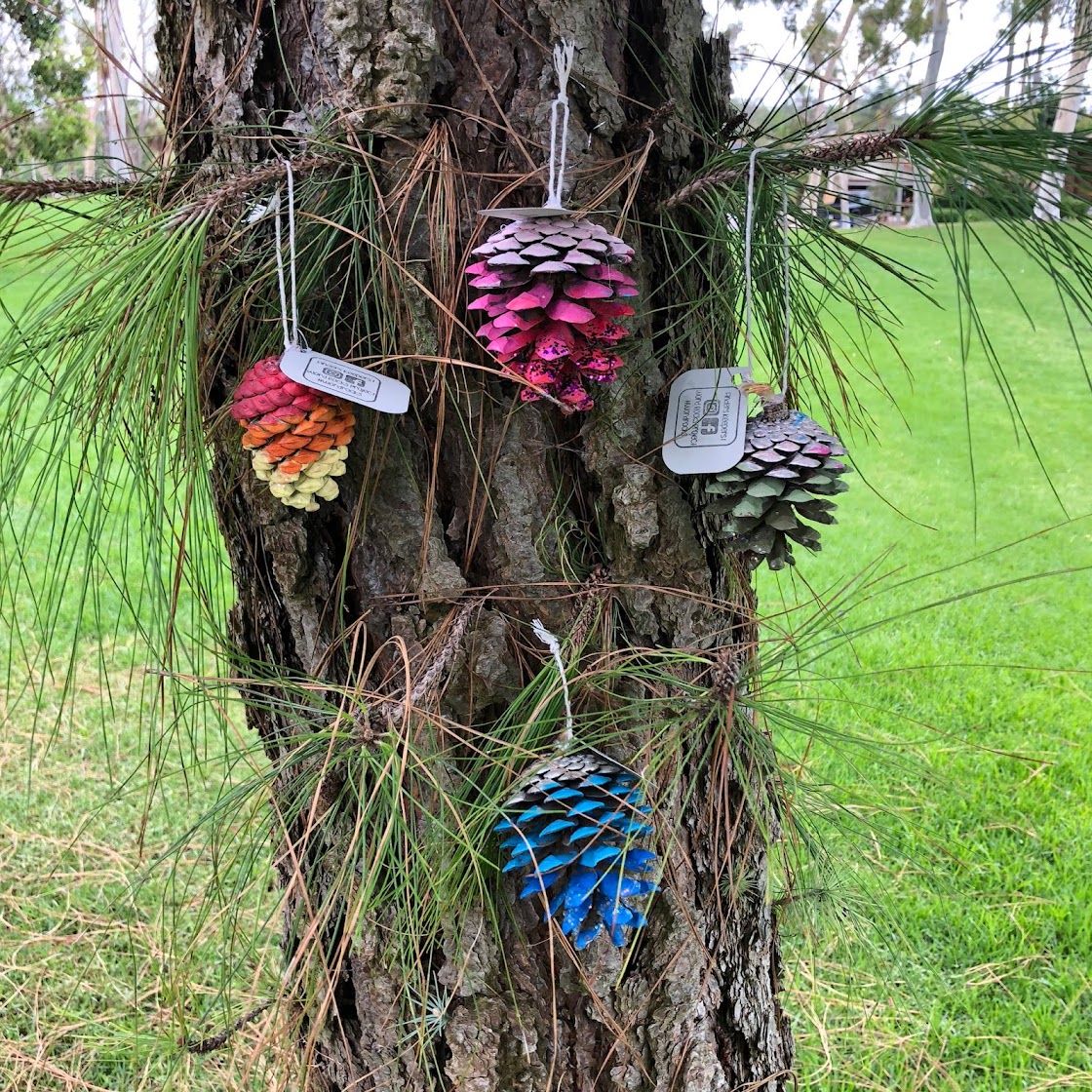 Drop a Rock Day 2021: Be the light!